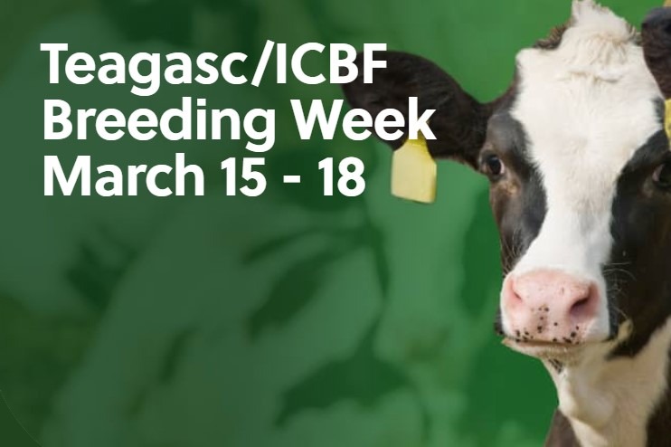 Teagasc/ICBF Breeding Week 2021 - ICBF